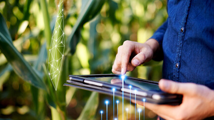Sustainable Manufacturing: 5 Best Practices in Bringing the Virtual ...
