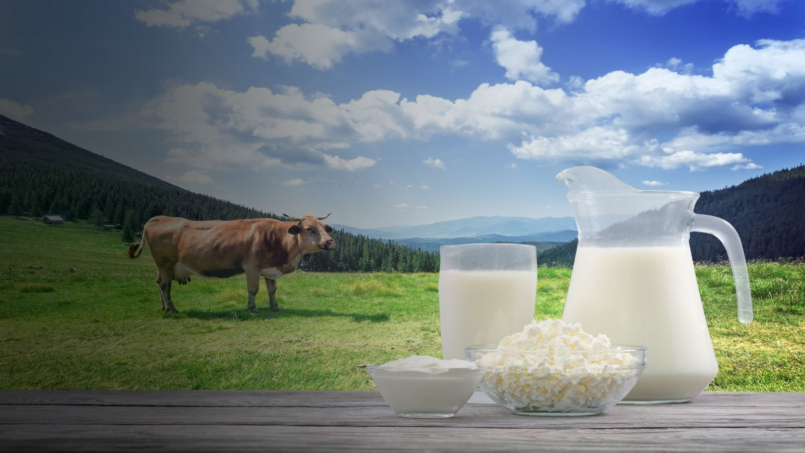 Learn more on our S OP solution for dairy production | Dassault Systèmes®